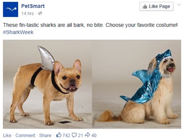 sharkweek写真05petsmart | NIPPON MARKETERS