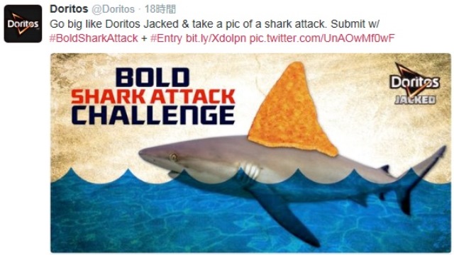 sharkweek写真12doritos | NIPPON MARKETERS